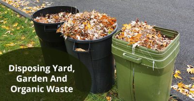 Yard, Garden, And Organic Waste Disposal Tips | Essential Disposal
