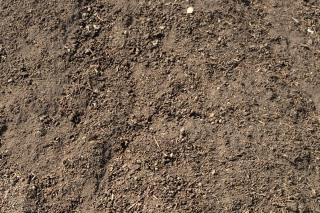 Garden Soils & Mulches Suppliers Toronto & GTA | Essential Disposal